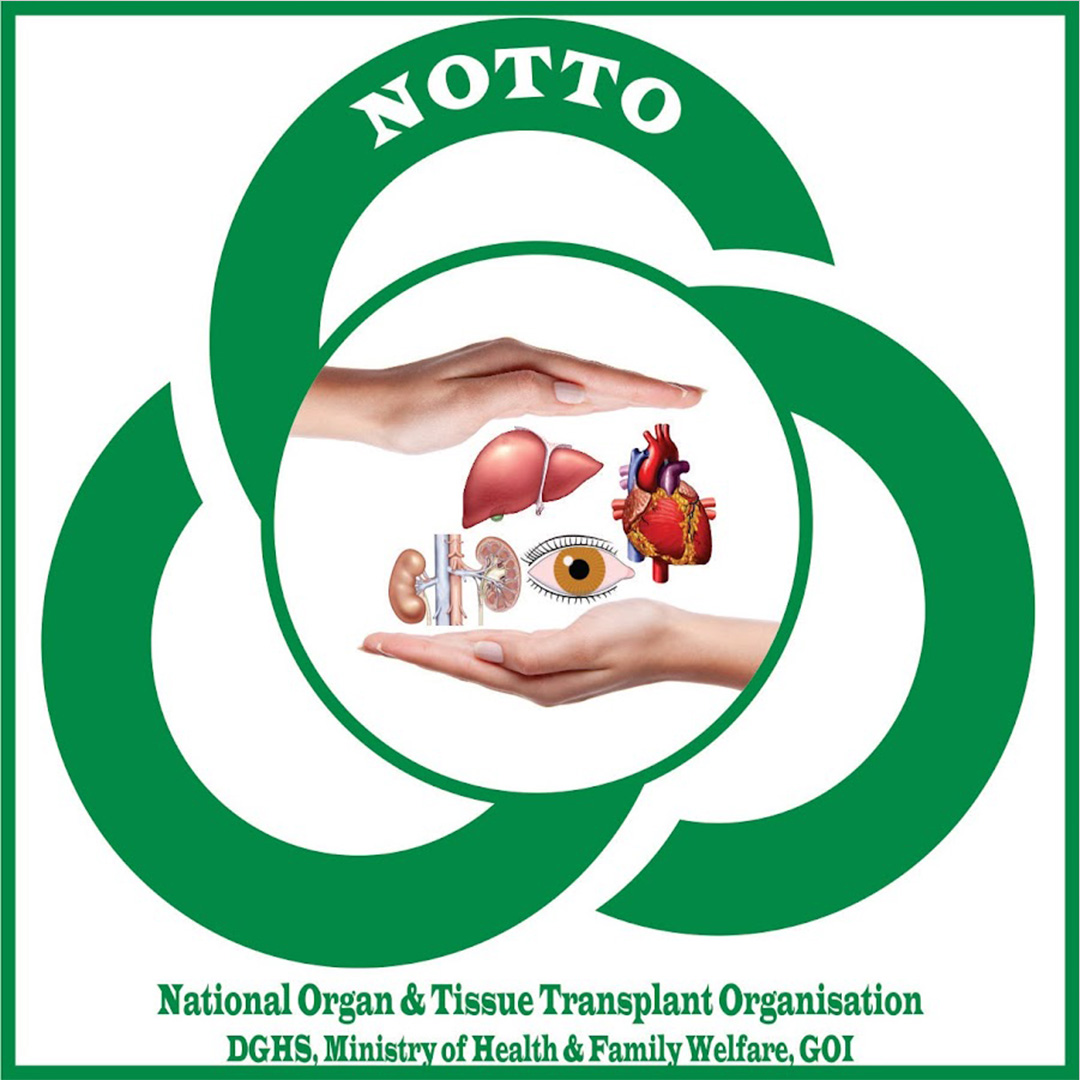 NOTTO - Creative Channel Media