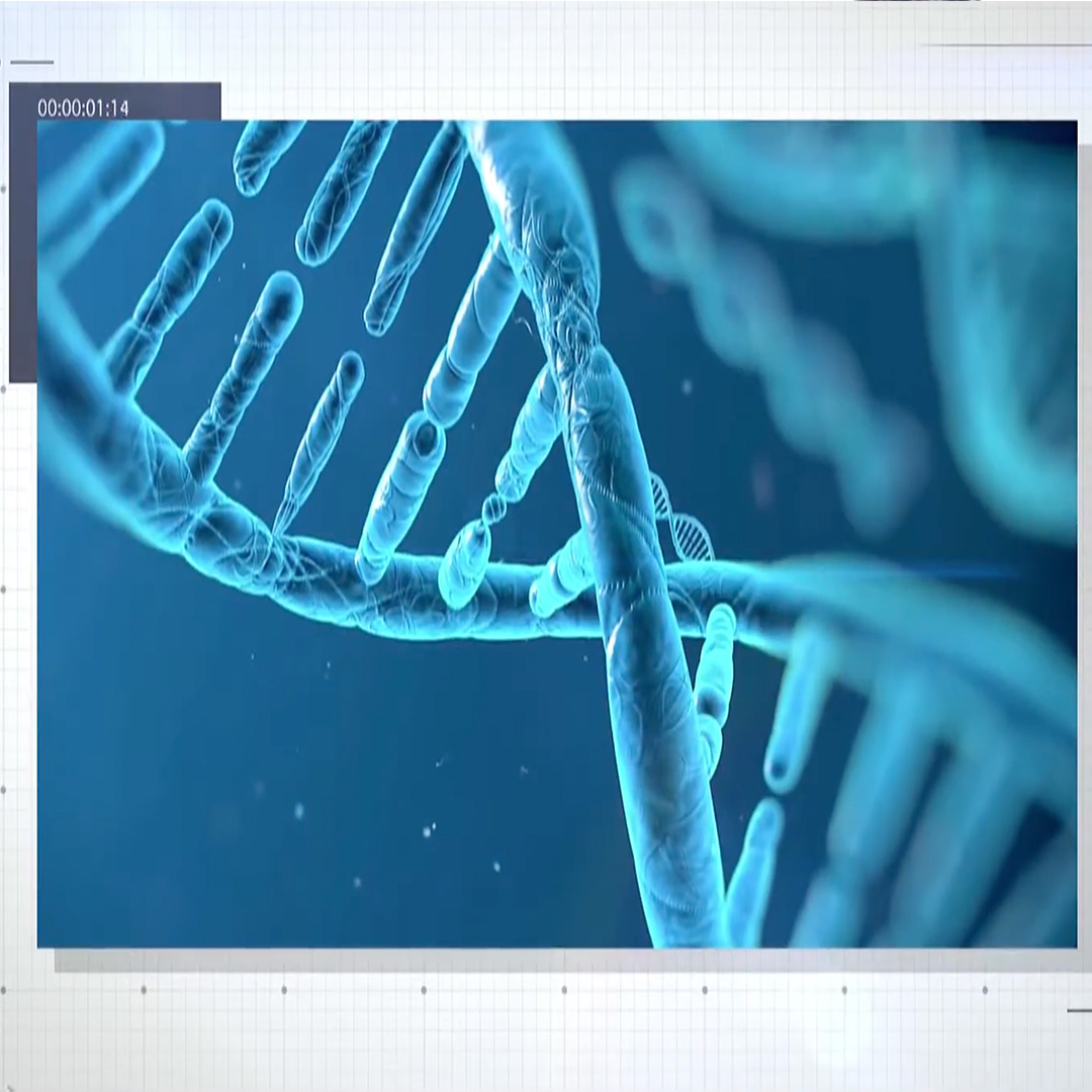 CSIR- IMTECH - Creative Channel Media